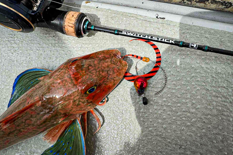 攻めの真鯛ゲームを極める。スイッチスティック3機種徹底解説/山戸田恵一 - SALT WATER 海釣り｜JACKALL｜ジャッカル｜ルアー